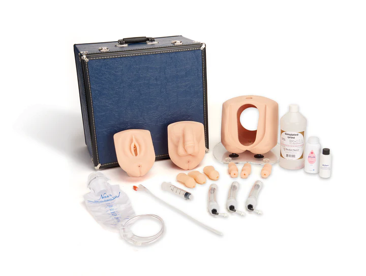 Male/Female Catheterization Simulator – Anchor Simulation