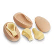 Humerus Intraosseous Trainer Pads and Bones, Pkg. of 3 Each – Anchor ...