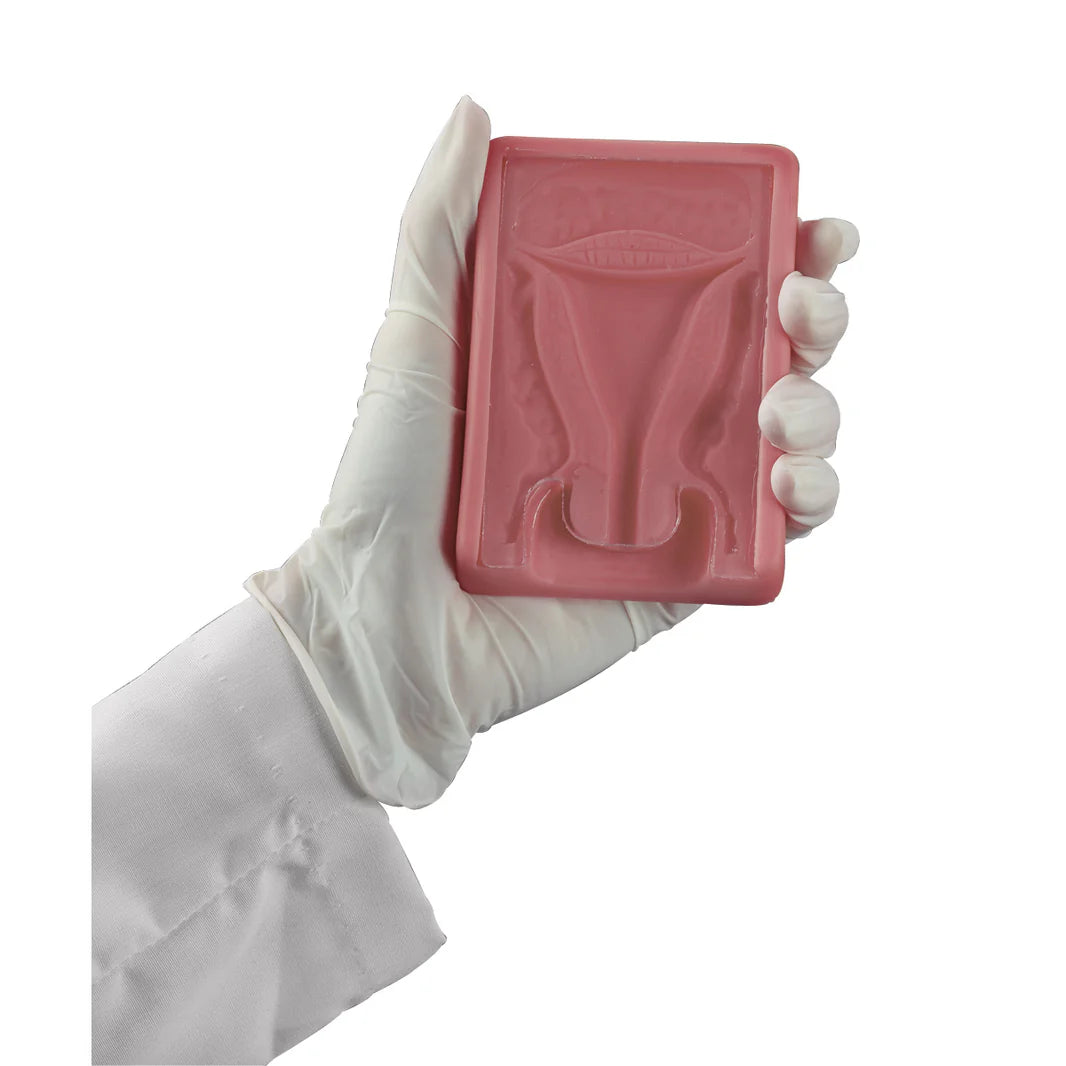 IUD Trainer – Anchor Simulation