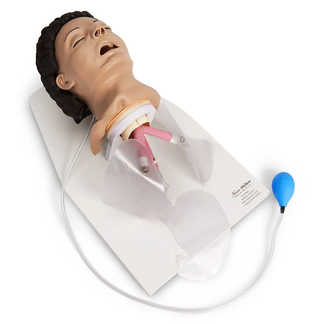 Adult Airway Management Trainer with Stand – Anchor Simulation