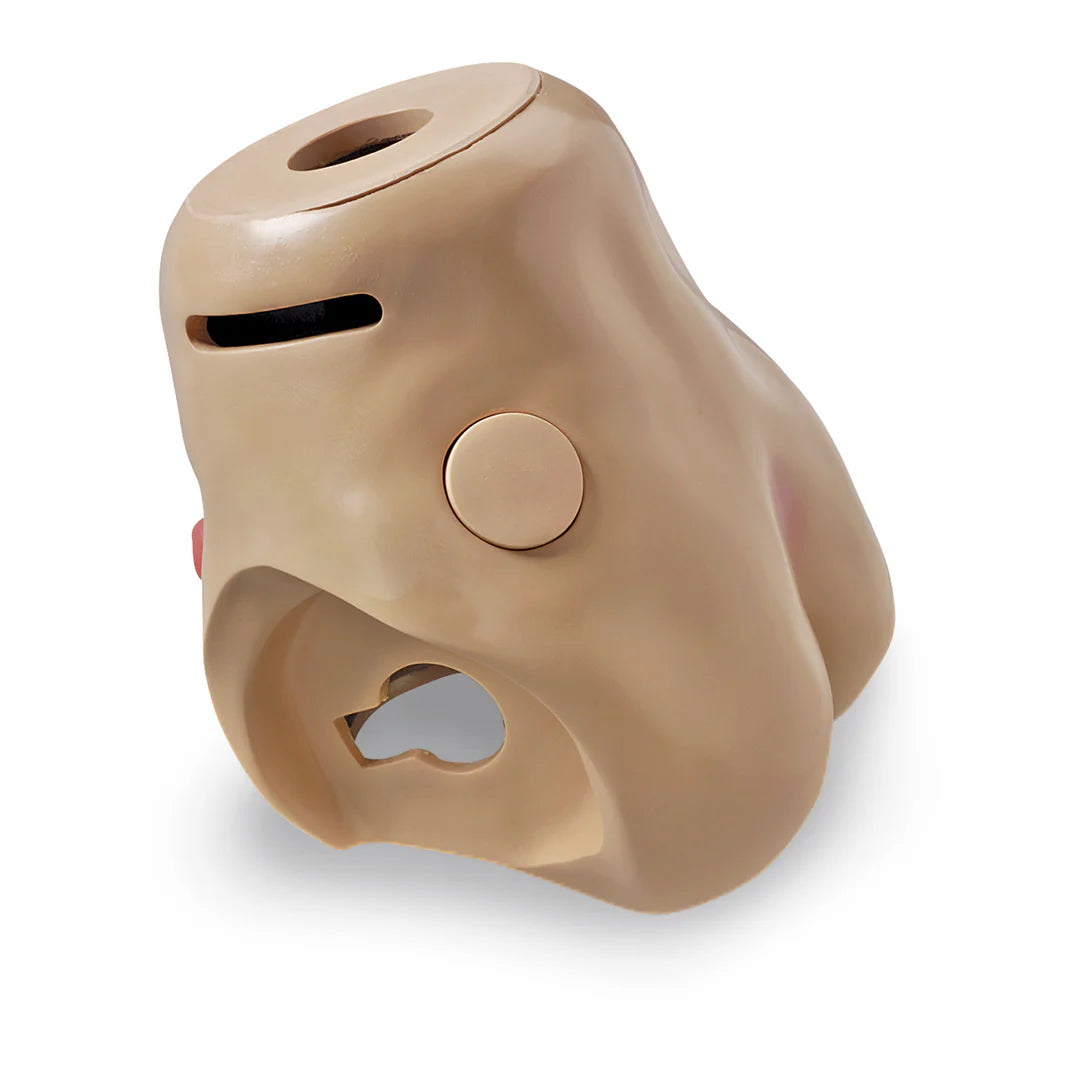Keri Lower Torso – Anchor Simulation