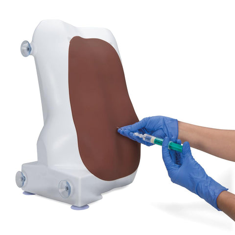 Epidural and Spinal Injection Trainer – Anchor Simulation