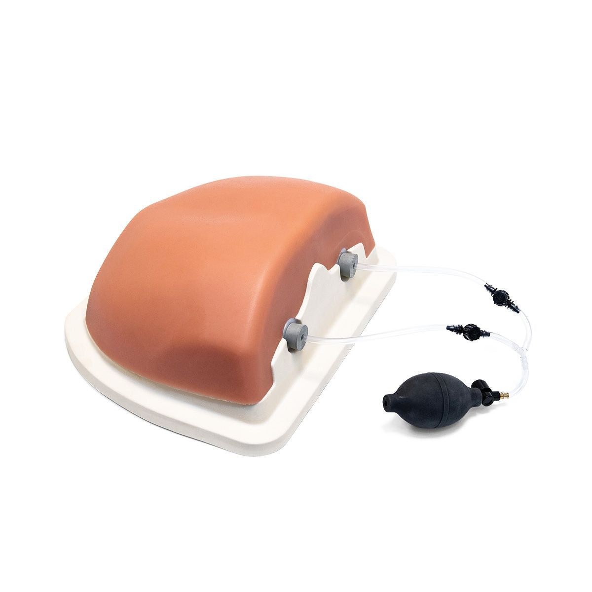 Image Guided Thoracic Spinal Injection Trainer – Anchor Simulation