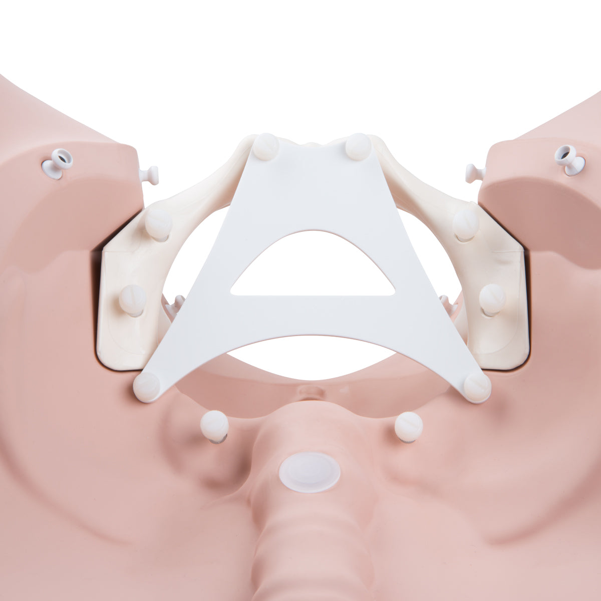 3B Birthing Stages Trainer – Anchor Simulation